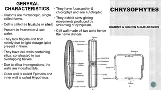 Biological classification Part-II | PPT