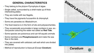 Biological classification Part-II | PPT