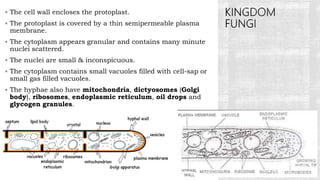 Biological classification Part-III | PPTX