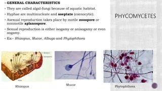 Biological classification Part-III | PPT