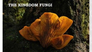 Biological classification Part-III | PPT