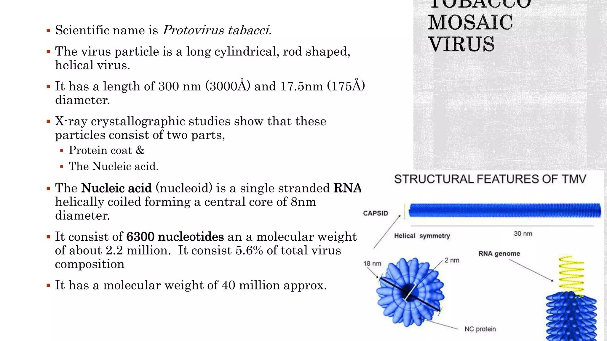 Biological classification Part-IV | PPTX