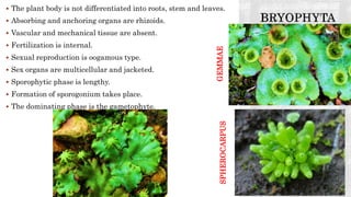 Biological classification Part-IV | PPTX | Reproductive Health ...