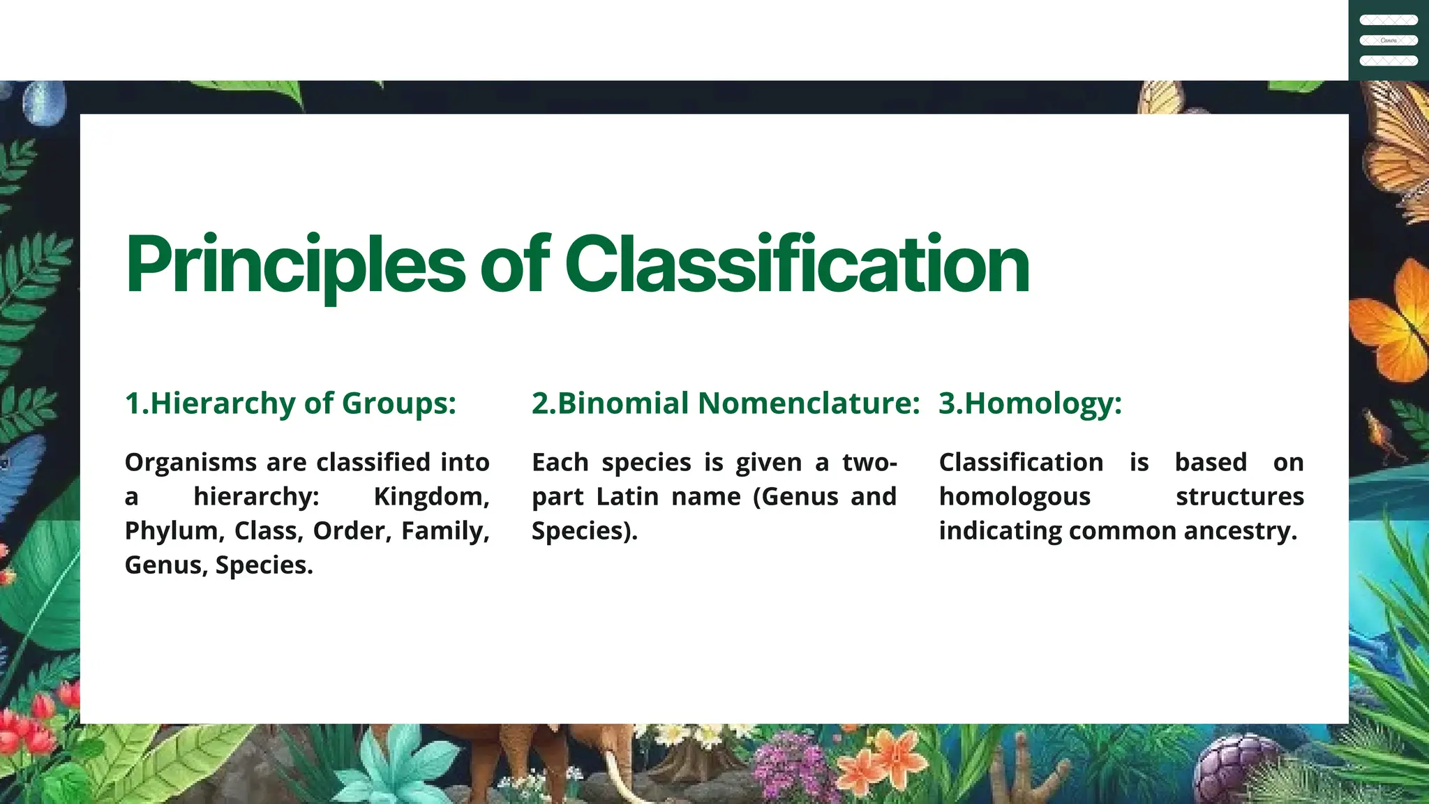 SCHOOL biological classification PPT.pdf
