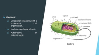 Biological classification of organisms by Ratnodip Saha | PPTX