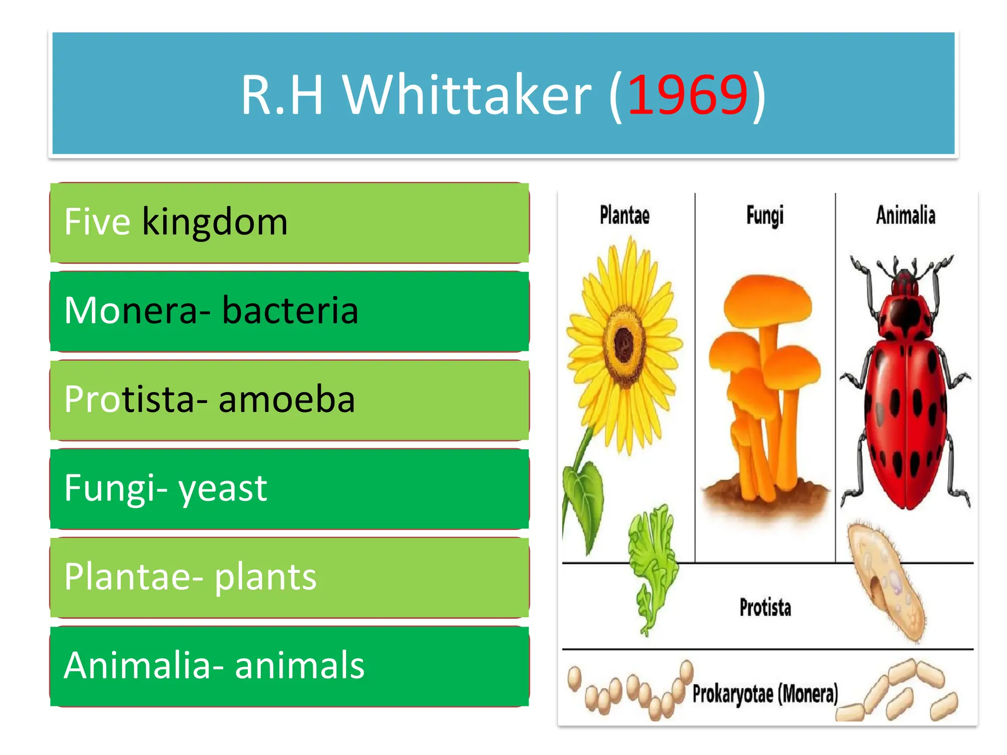Biological Classification rk u.pdf Biology | PPT