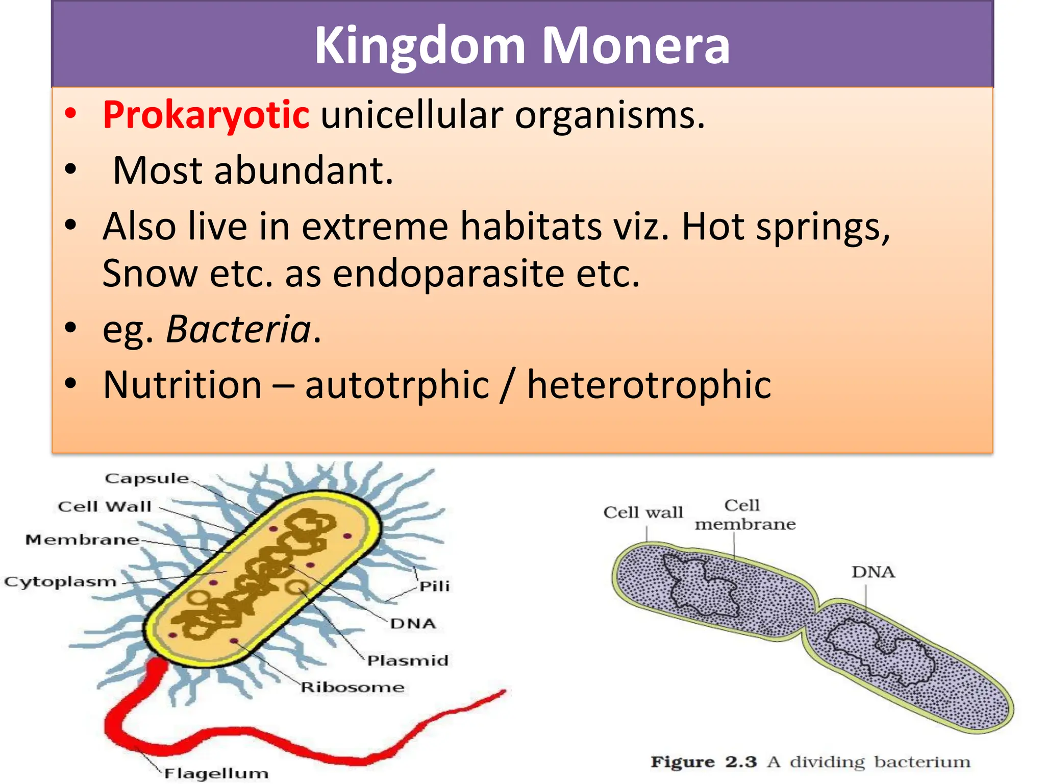 Biological Classification rk u.pdf Biology | PPT