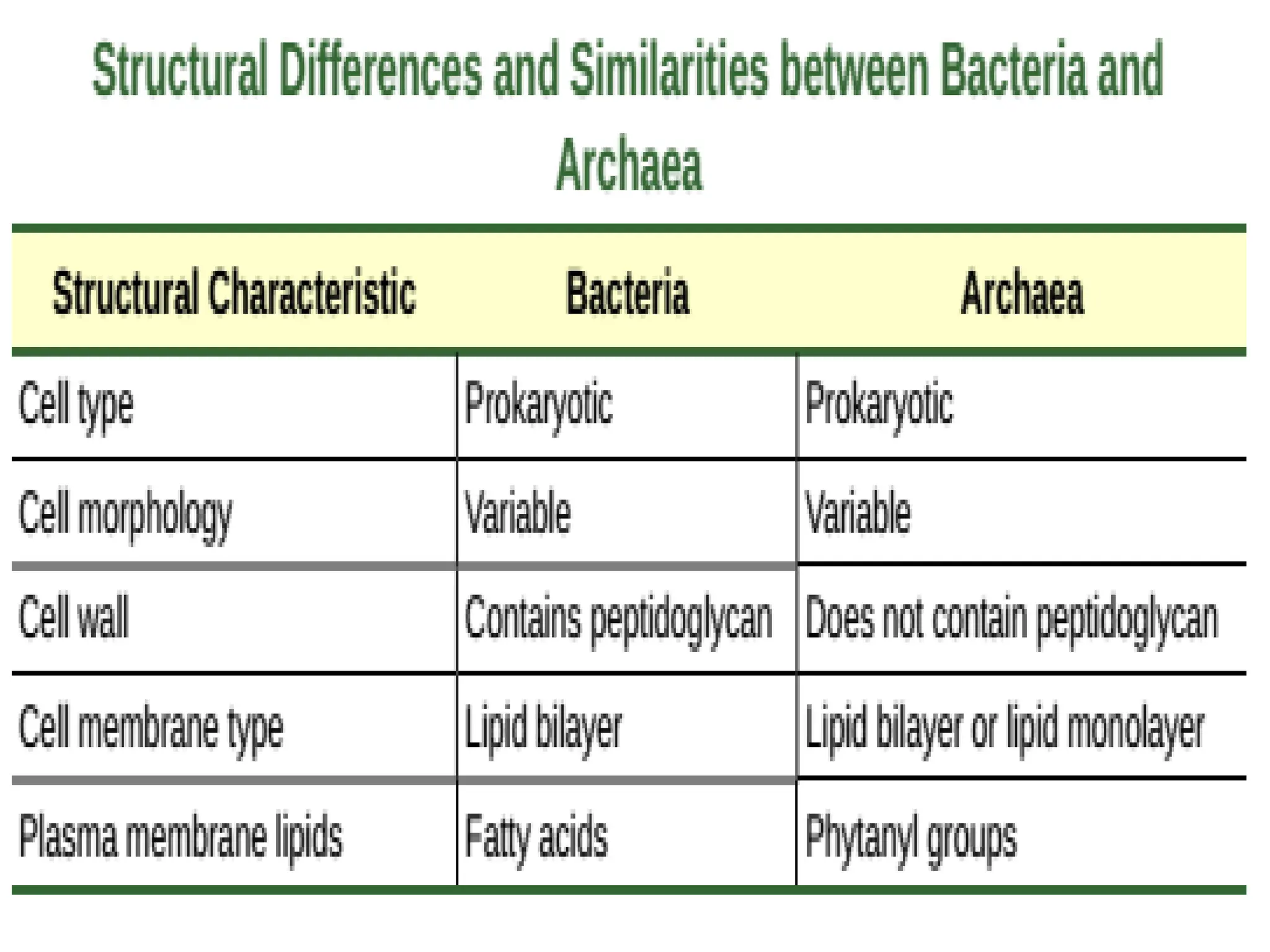 Biological Classification rk u.pdf Biology | PDF