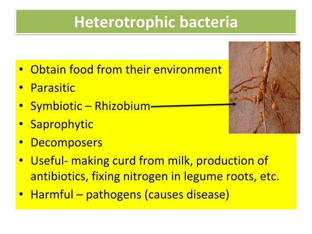 Biological Classification rk u.pdf Biology | PDF