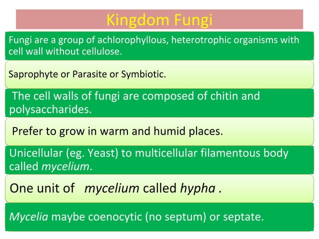 Biological Classification rk u.pdf Biology | PDF