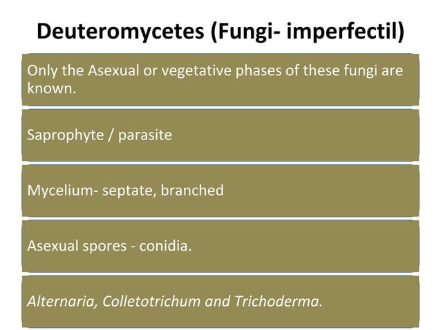 Biological Classification rk u.pdf Biology | PDF