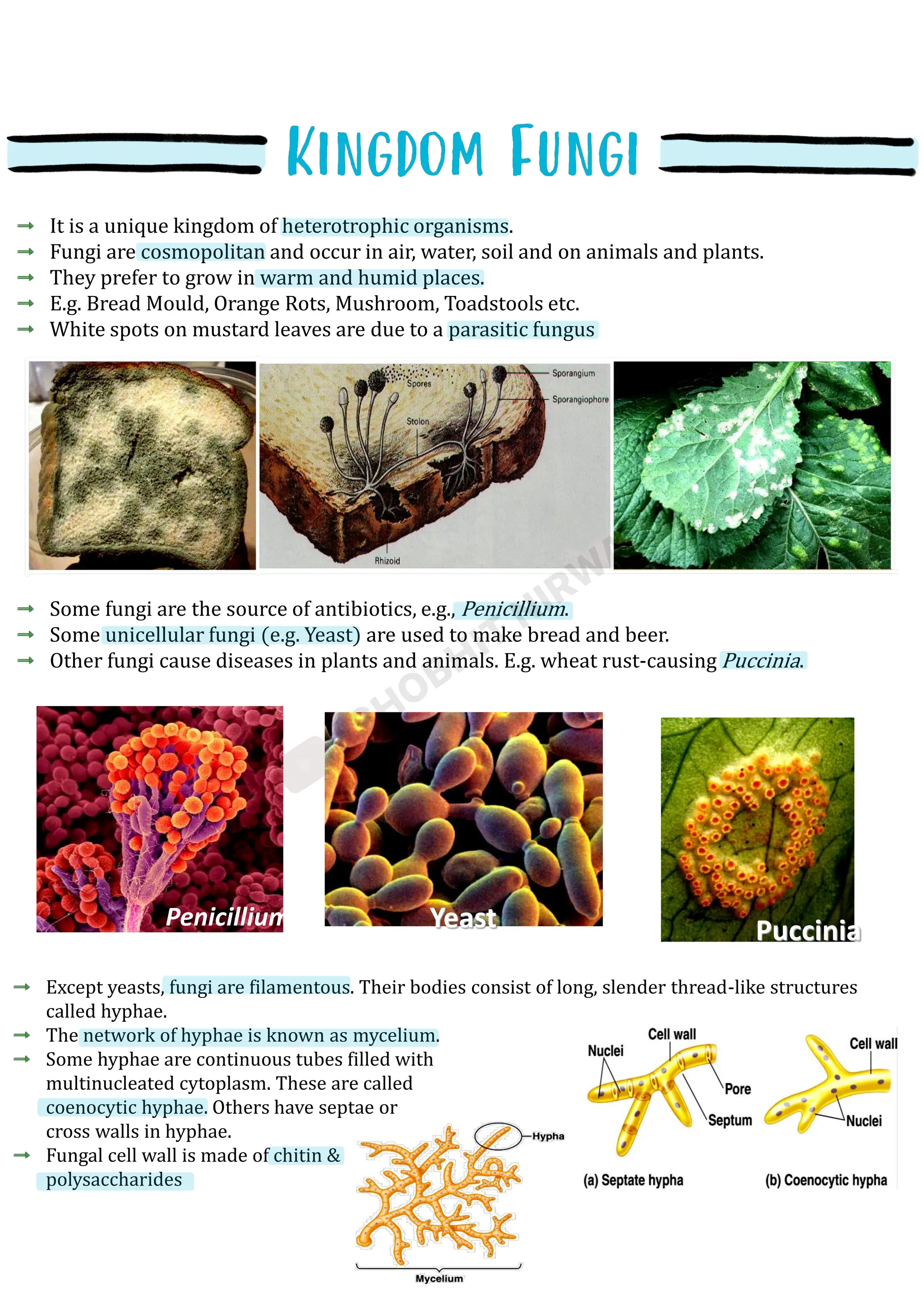 Biological Classification_Shobhit Nirwan.pdf