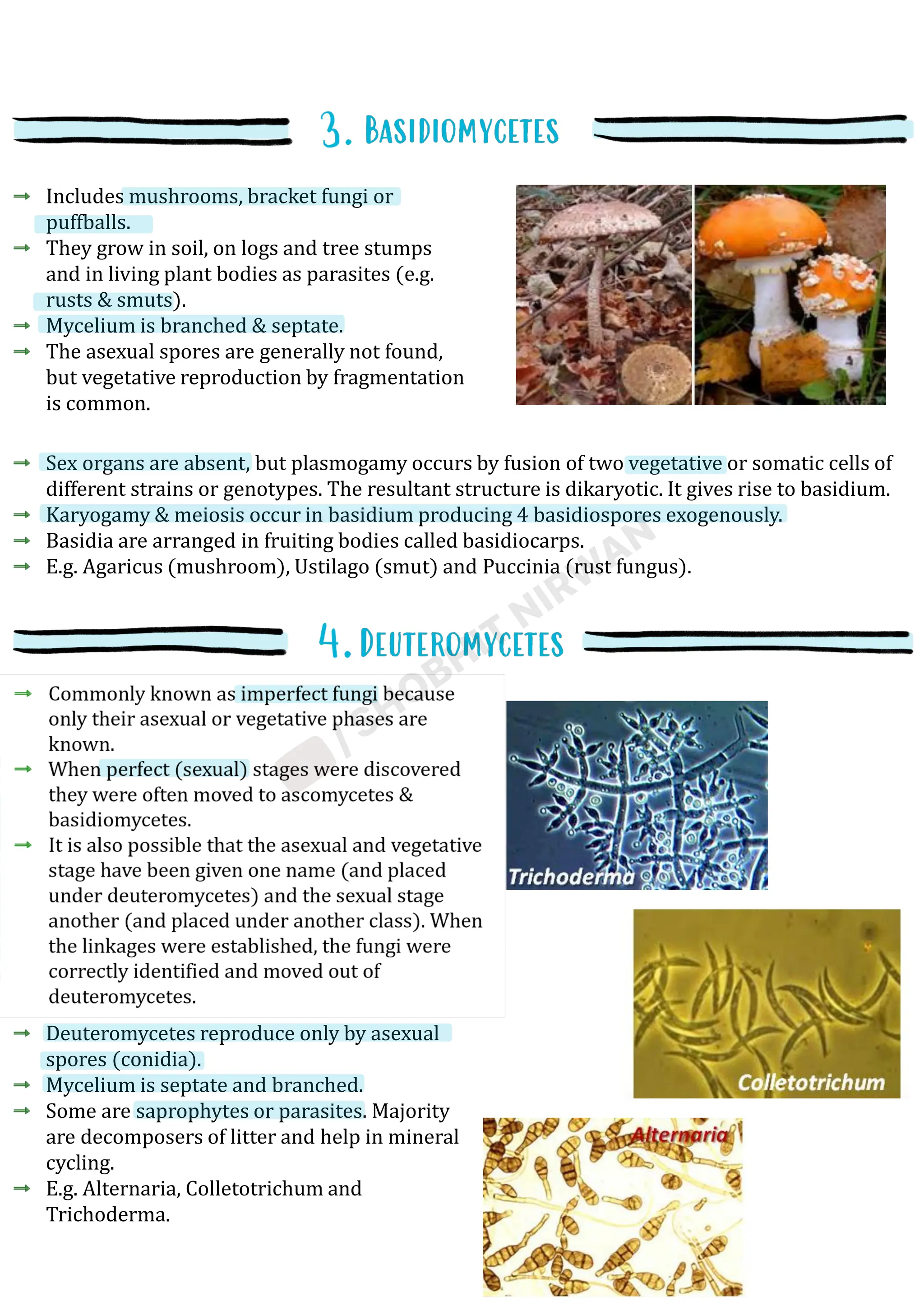 Biological Classification_Shobhit Nirwan.pdf