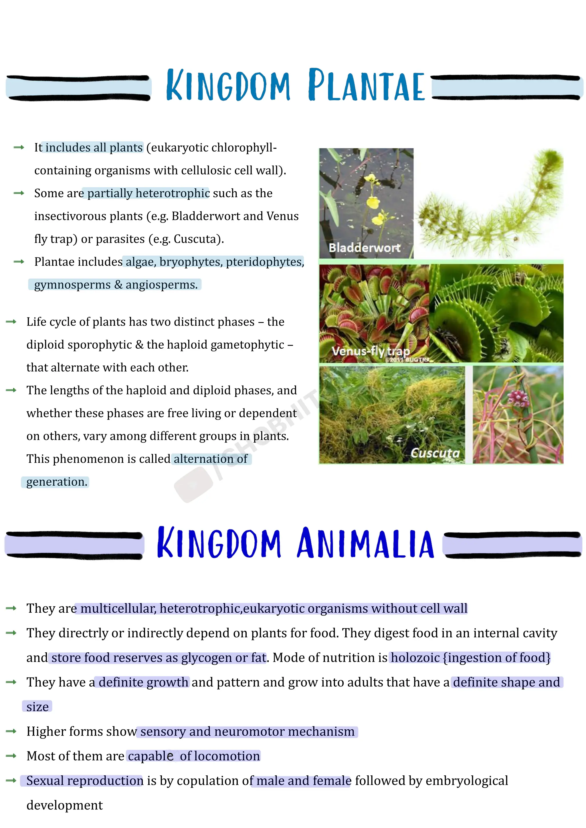 Biological Classification_Shobhit Nirwan.pdf