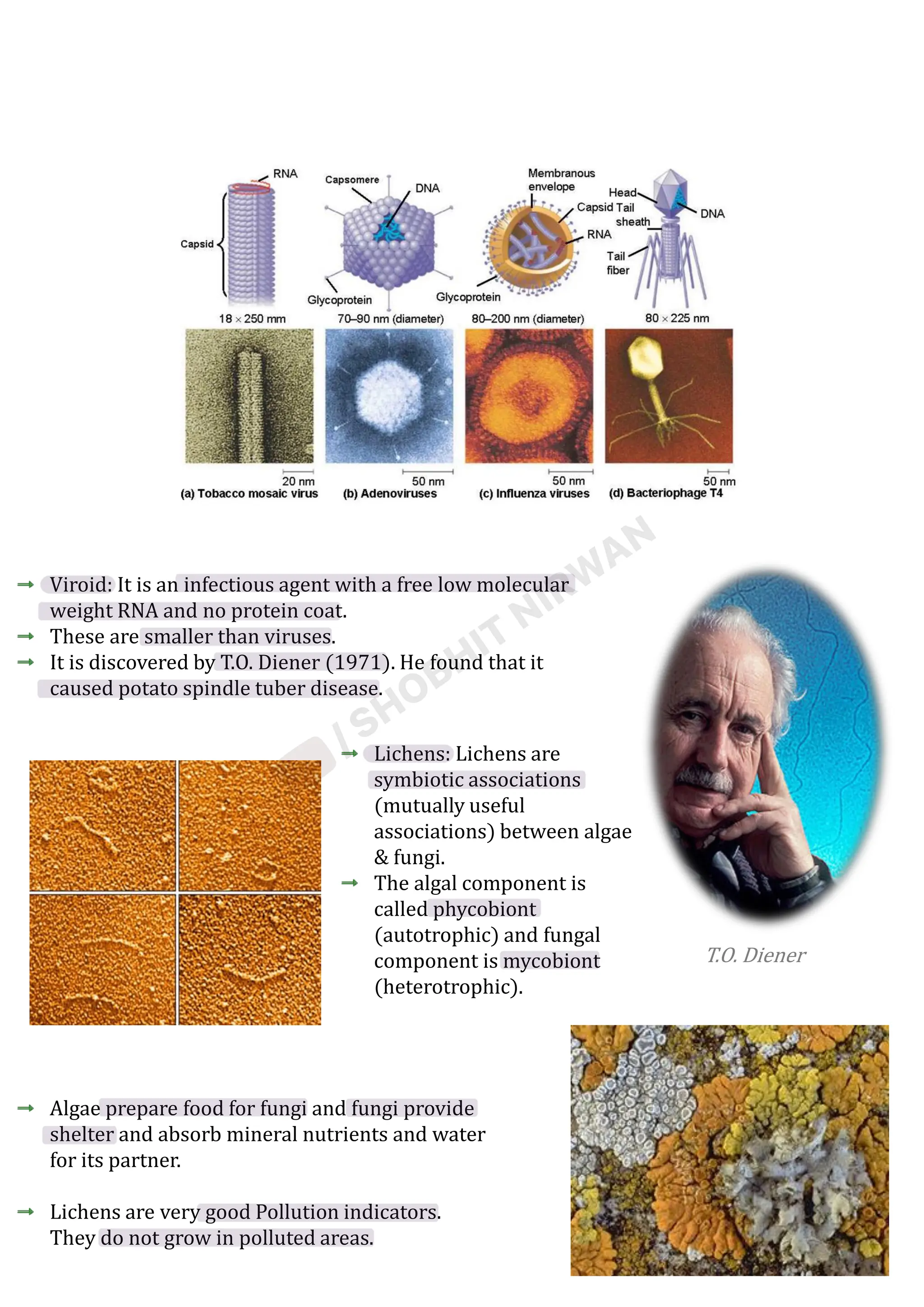 Biological Classification_Shobhit Nirwan.pdf