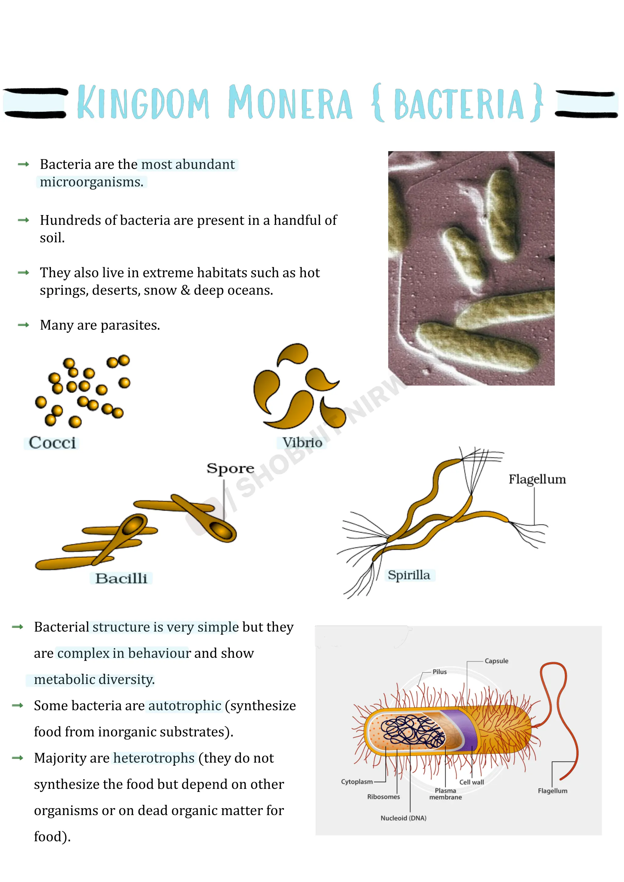 Biological Classification_Shobhit Nirwan.pdf