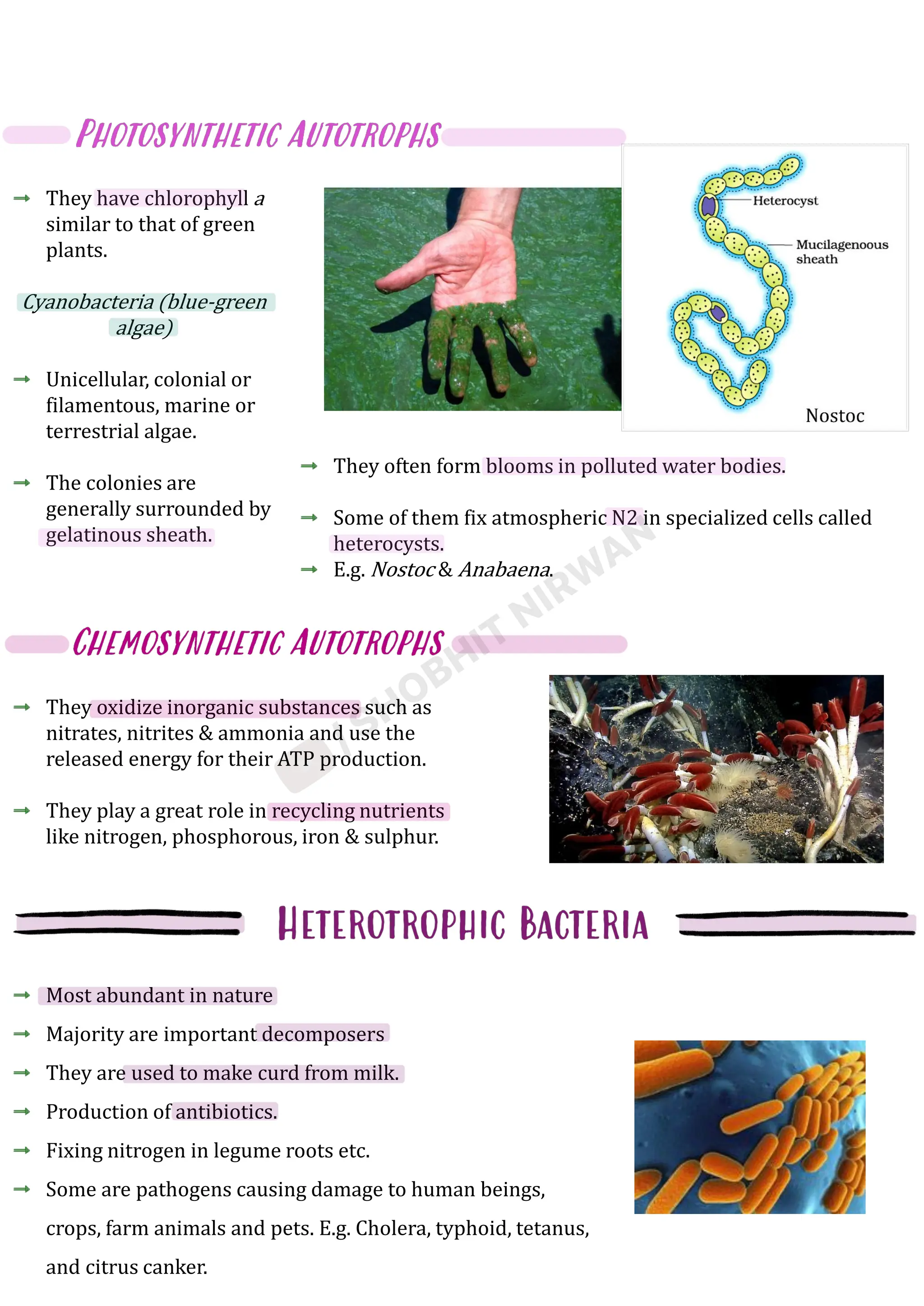 Biological Classification_Shobhit Nirwan.pdf