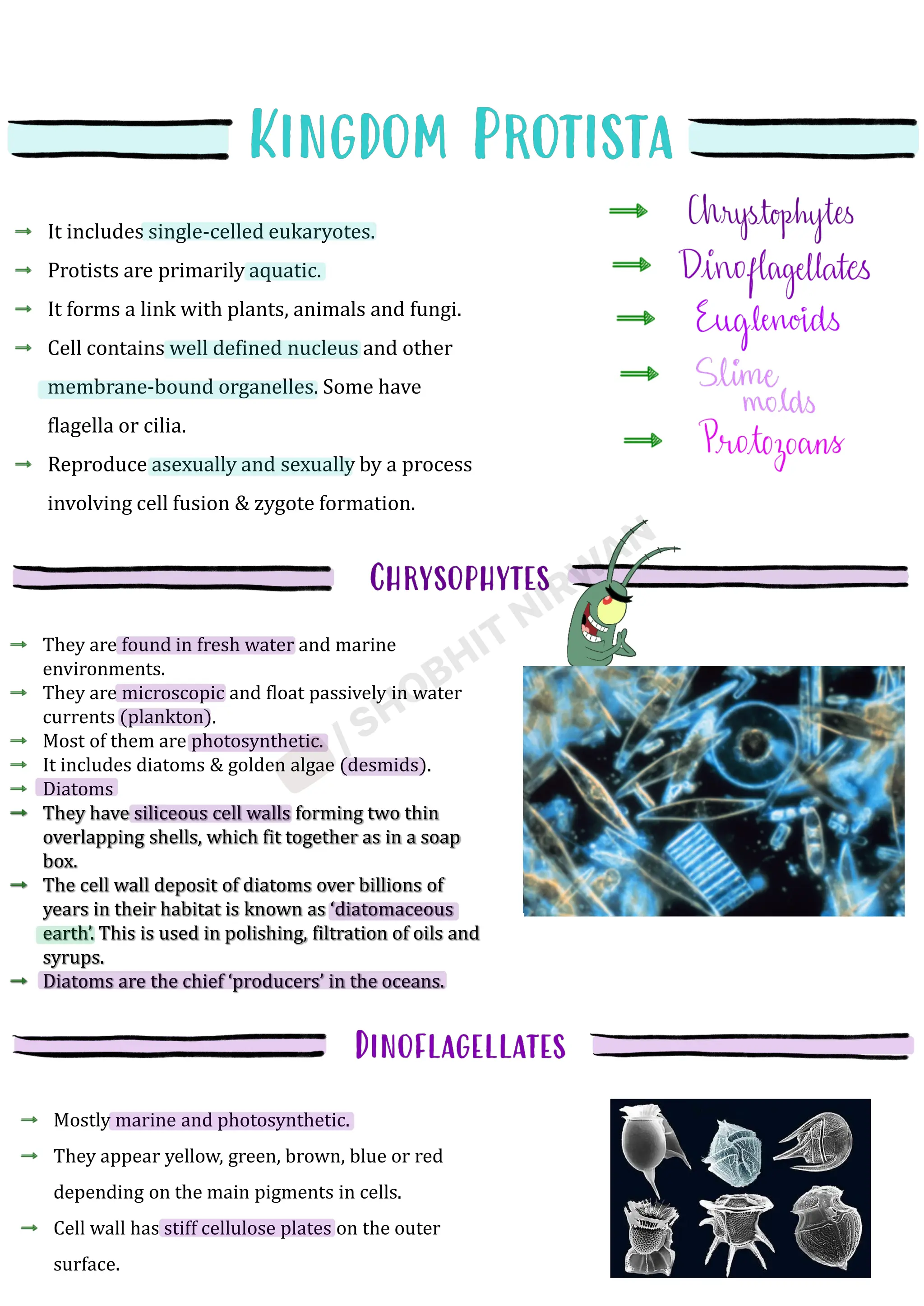 Biological Classification_Shobhit Nirwan.pdf