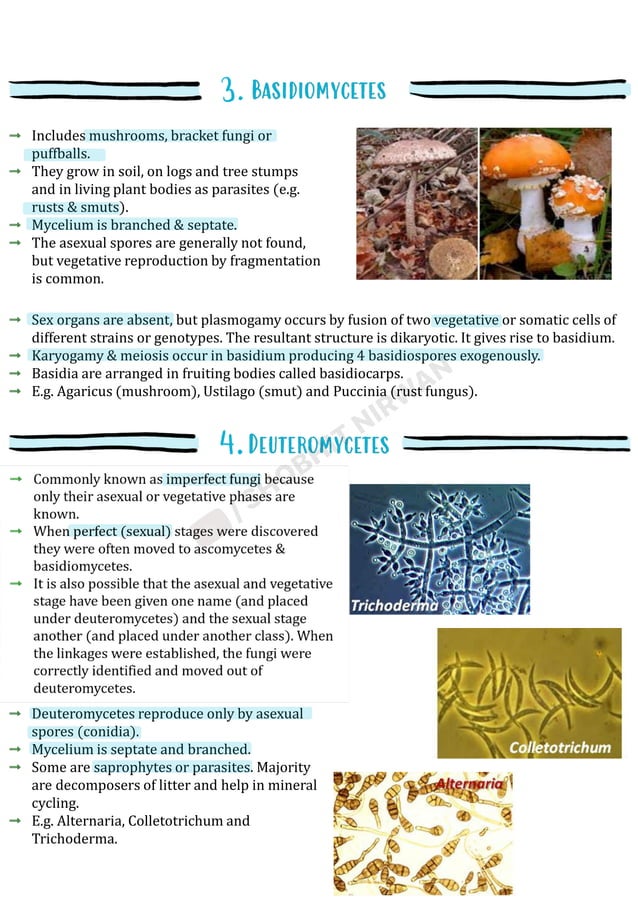 Biological Classification_Shobhit Nirwan.pdf