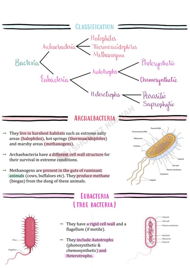 Biological Classification_Shobhit Nirwan.pdf