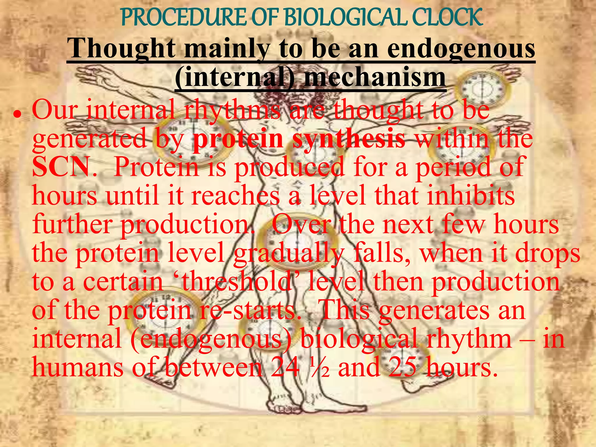 Biological clock | PPTX