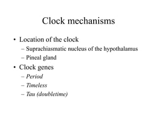 Biological clock.ppt