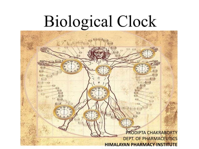 Biological clock | PPTX | Sleep Disorders | Diseases and Conditions
