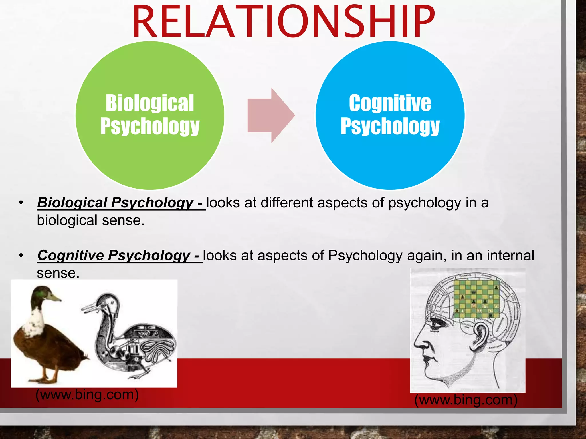 Biological Cognitive Psychology Pesentation | PPTX