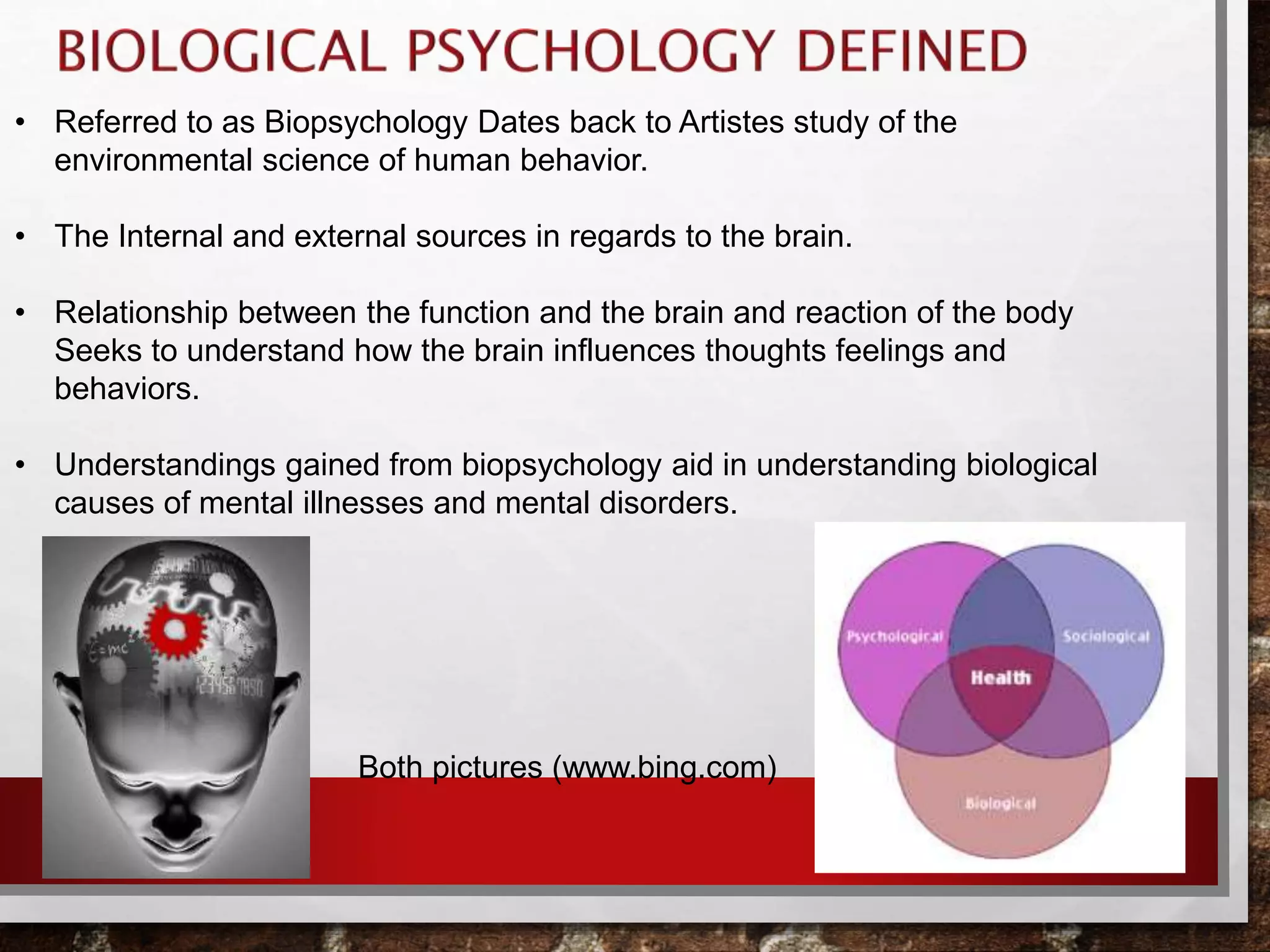 Biological Cognitive Psychology Pesentation | PPTX