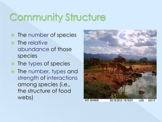 Biological Community