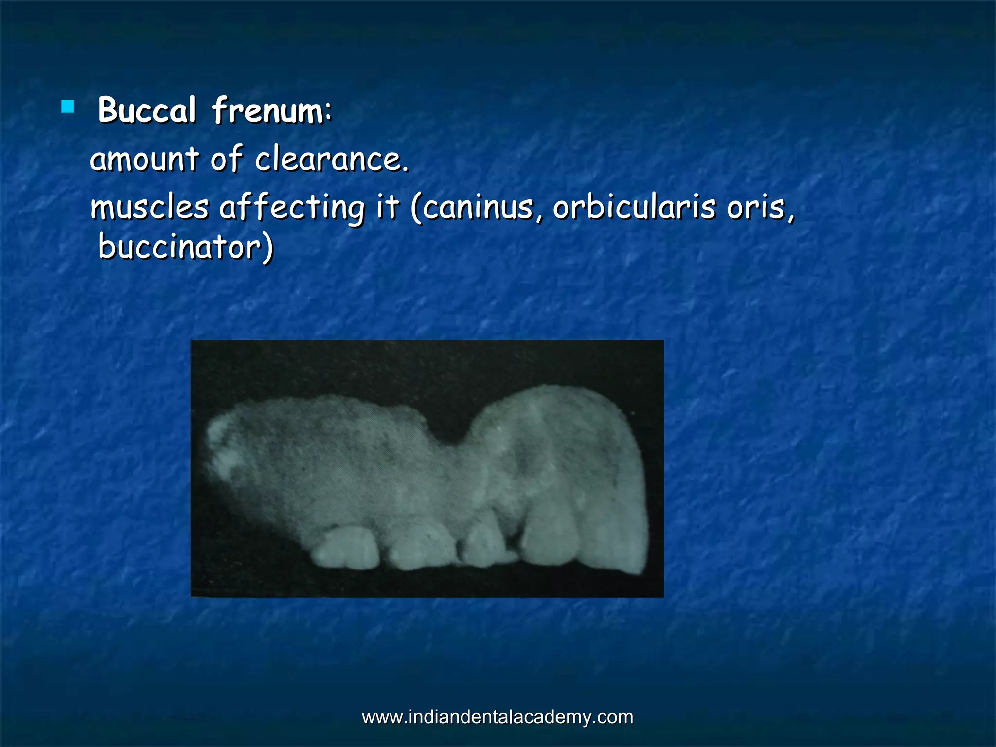 Biological considerations of maxillary and mandibular impressions ...