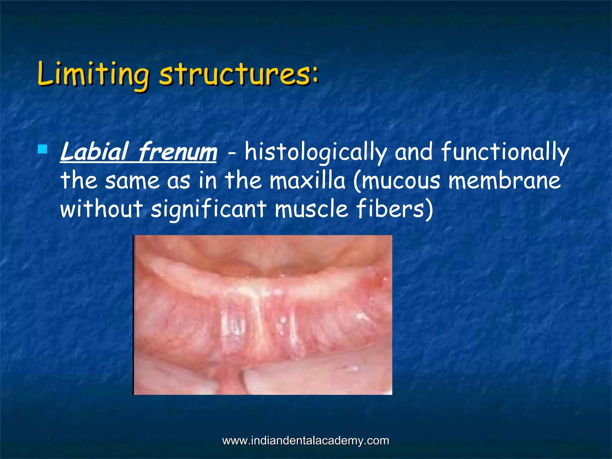 Biological considerations of maxillary and mandibular impressions ...