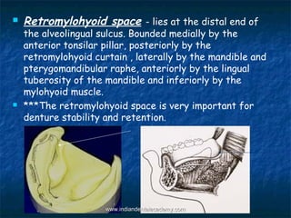 Retromylohyoid Space