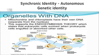 Biological contingent identity and transient autonomy | PPTX