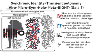 Biological contingent identity and transient autonomy | PPTX