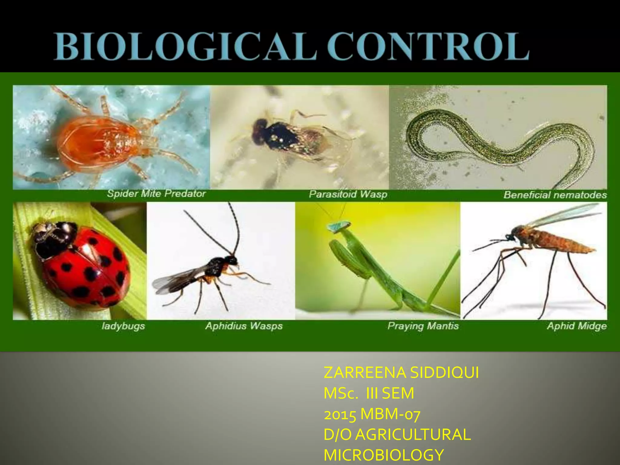 Biological control | PPTX