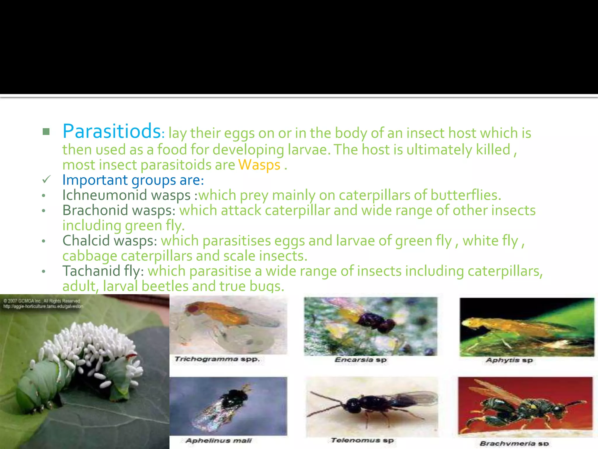 Biological control | PPTX