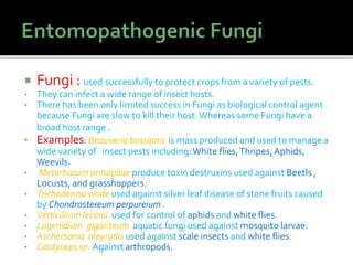 Biological control | PPTX