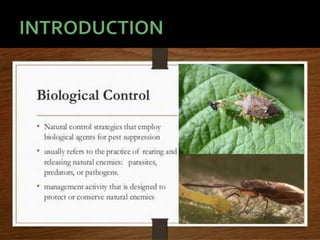 Biological control | PPTX