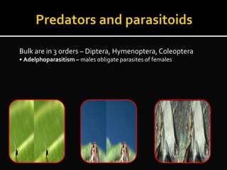 Biological control | PPT
