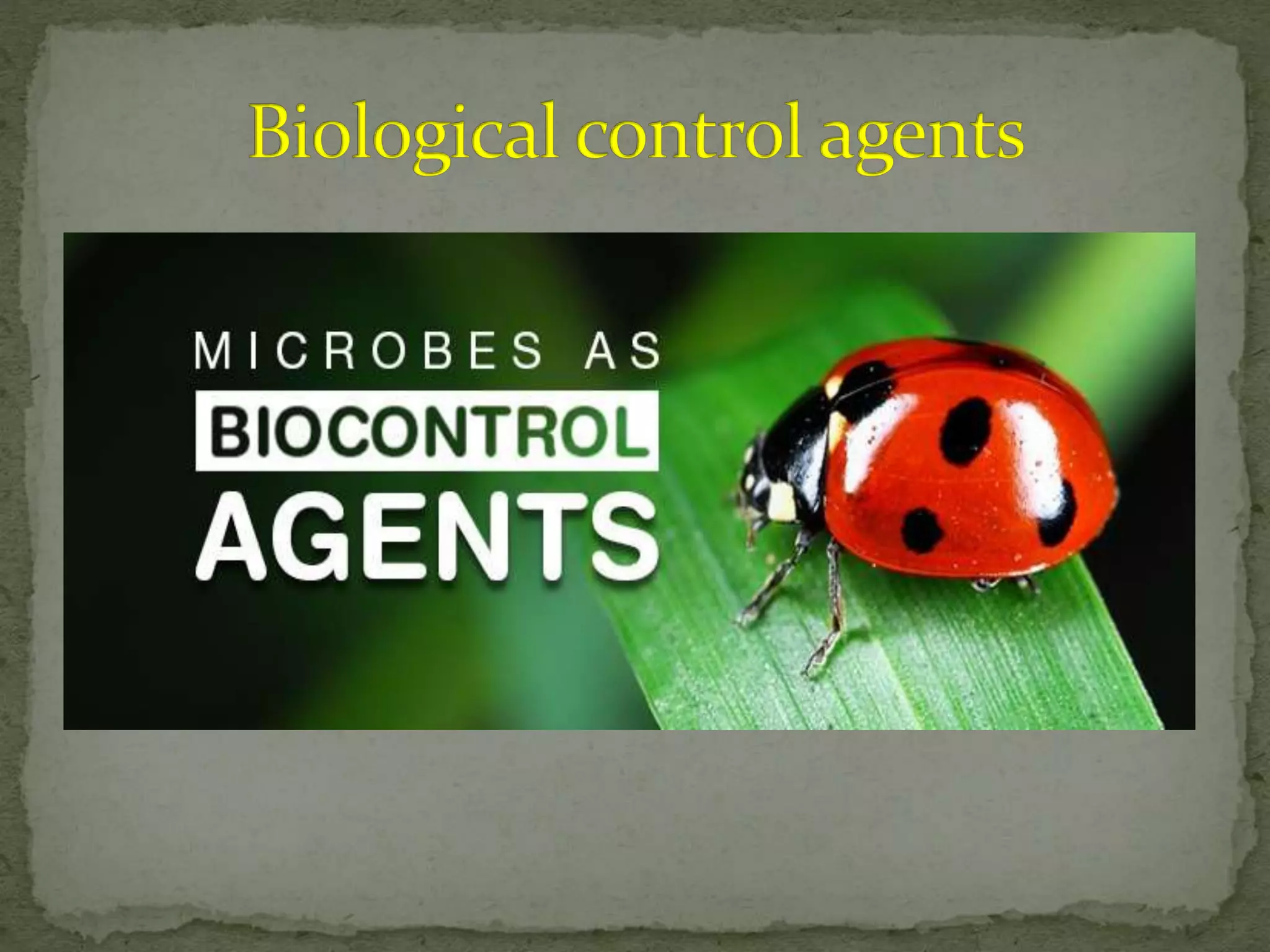 BIOLOGICAL CONTROL.ppt
