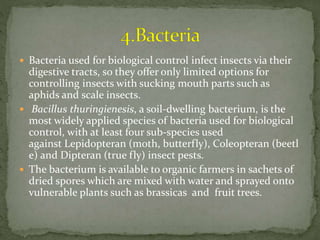 BIOLOGICAL CONTROL.ppt