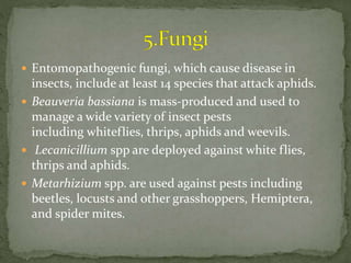 BIOLOGICAL CONTROL.ppt
