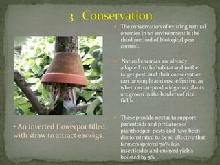 BIOLOGICAL CONTROL.ppt