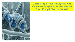 Role of chemical and biocontrol agents Biological control.pptx