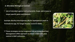 biological control of medicinal and aromatic plant.pptx