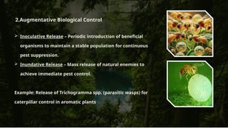 biological control of medicinal and aromatic plant.pptx