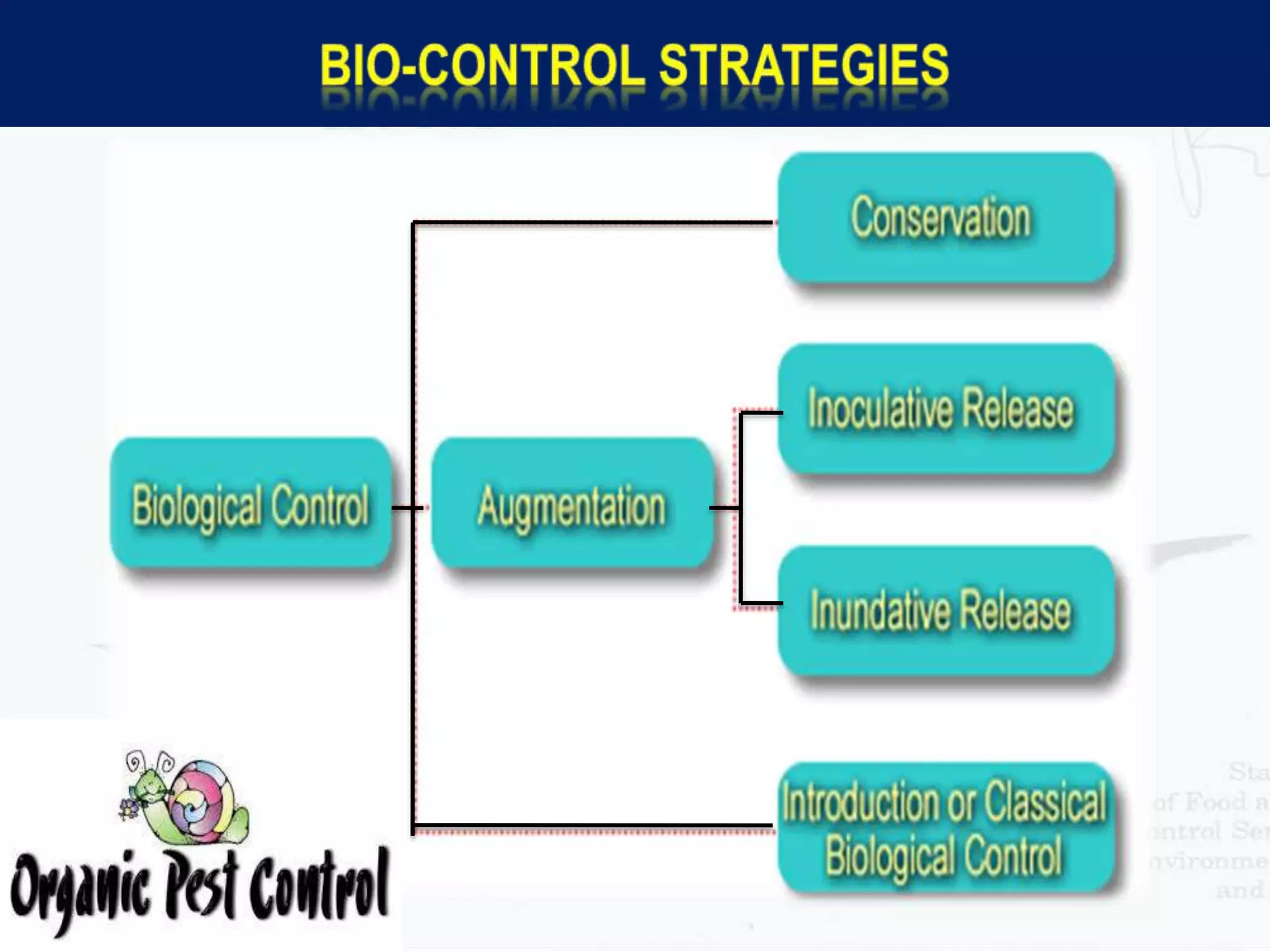 Biological control by augmentation | PPTX