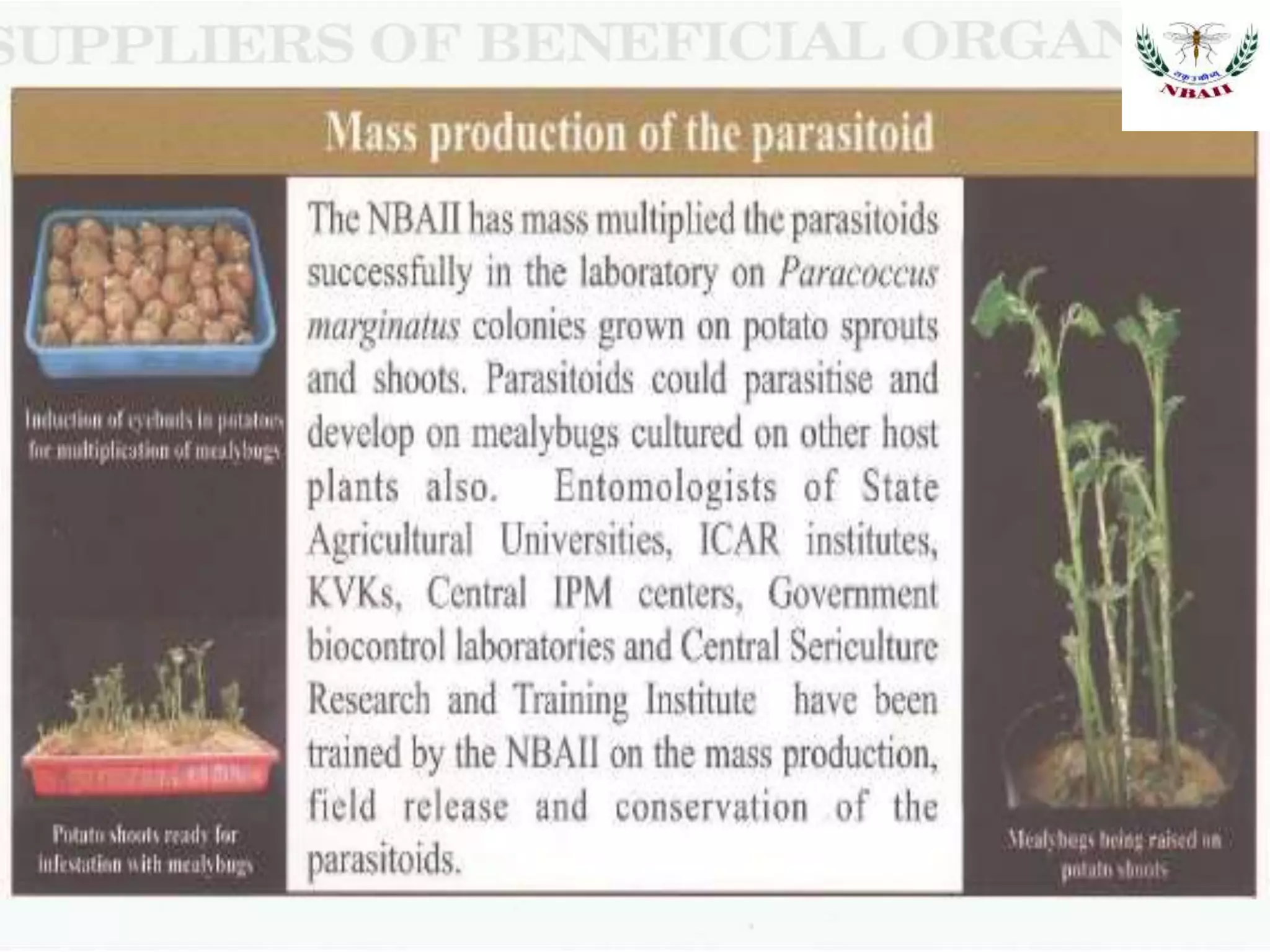 Biological control by augmentation | PPTX