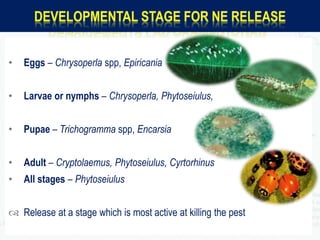 Biological control by augmentation | PPTX